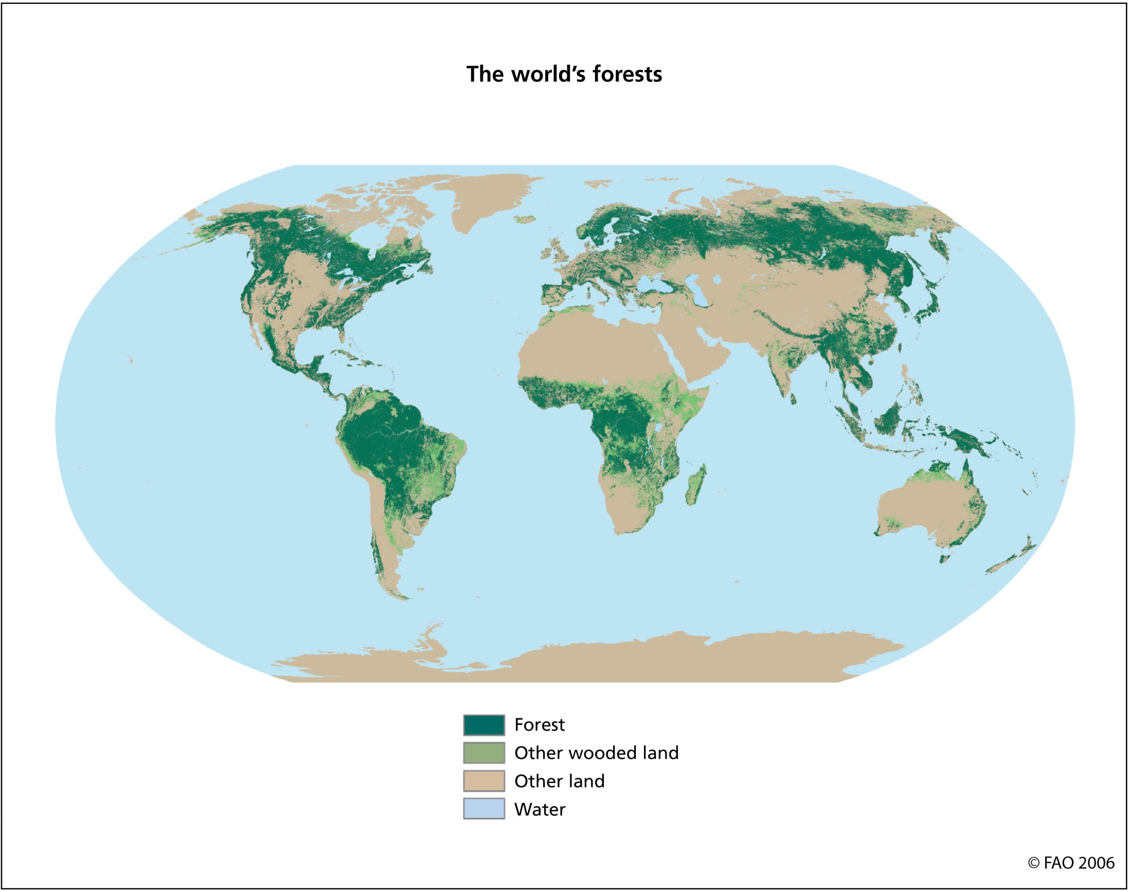 A Data‑Driven Deep Dive on International Day of Forests