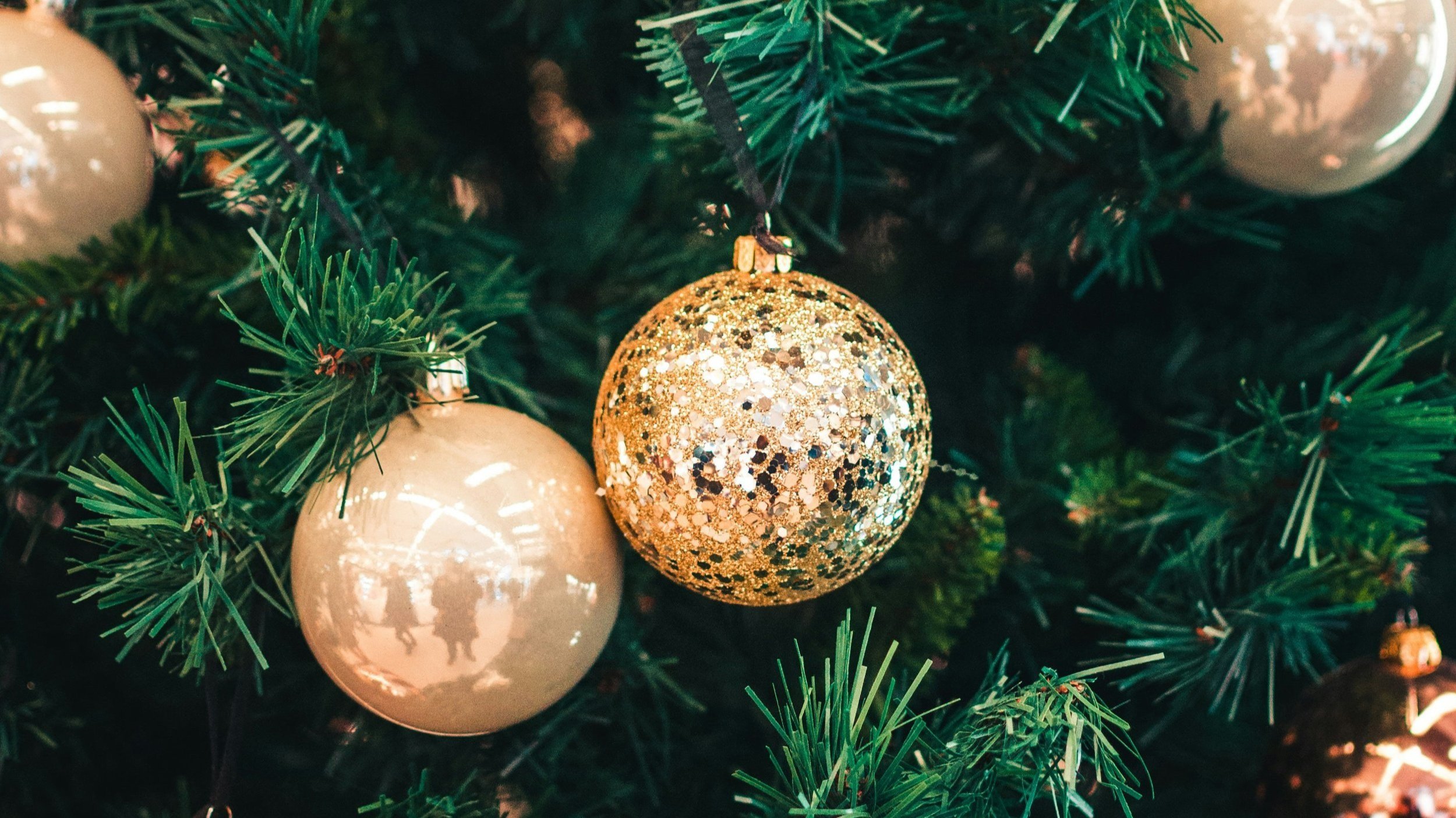 To Tree or Not to Tree? A Seasonal Look at Biodiversity Choices