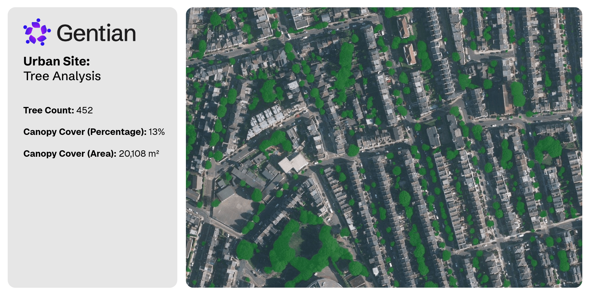 Tree Surveys | Remote Tree Surveys
