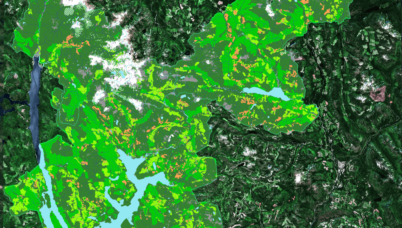 Habitat Mapping