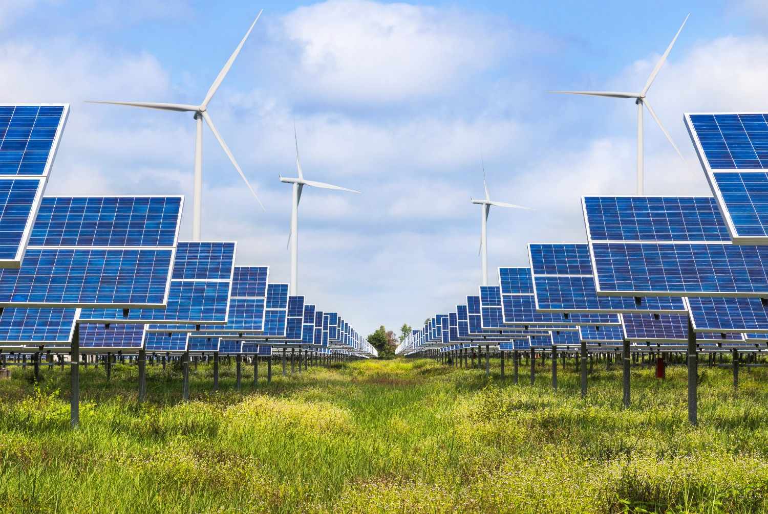 Do Renewable Energy Sources Impact Nature? A Look at the Pros and Cons