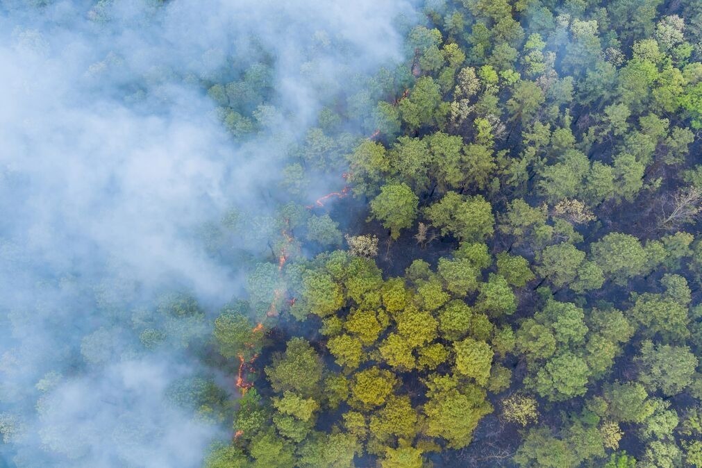 Mitigating Climate Risk: Protecting Infrastructure and Operations with ...