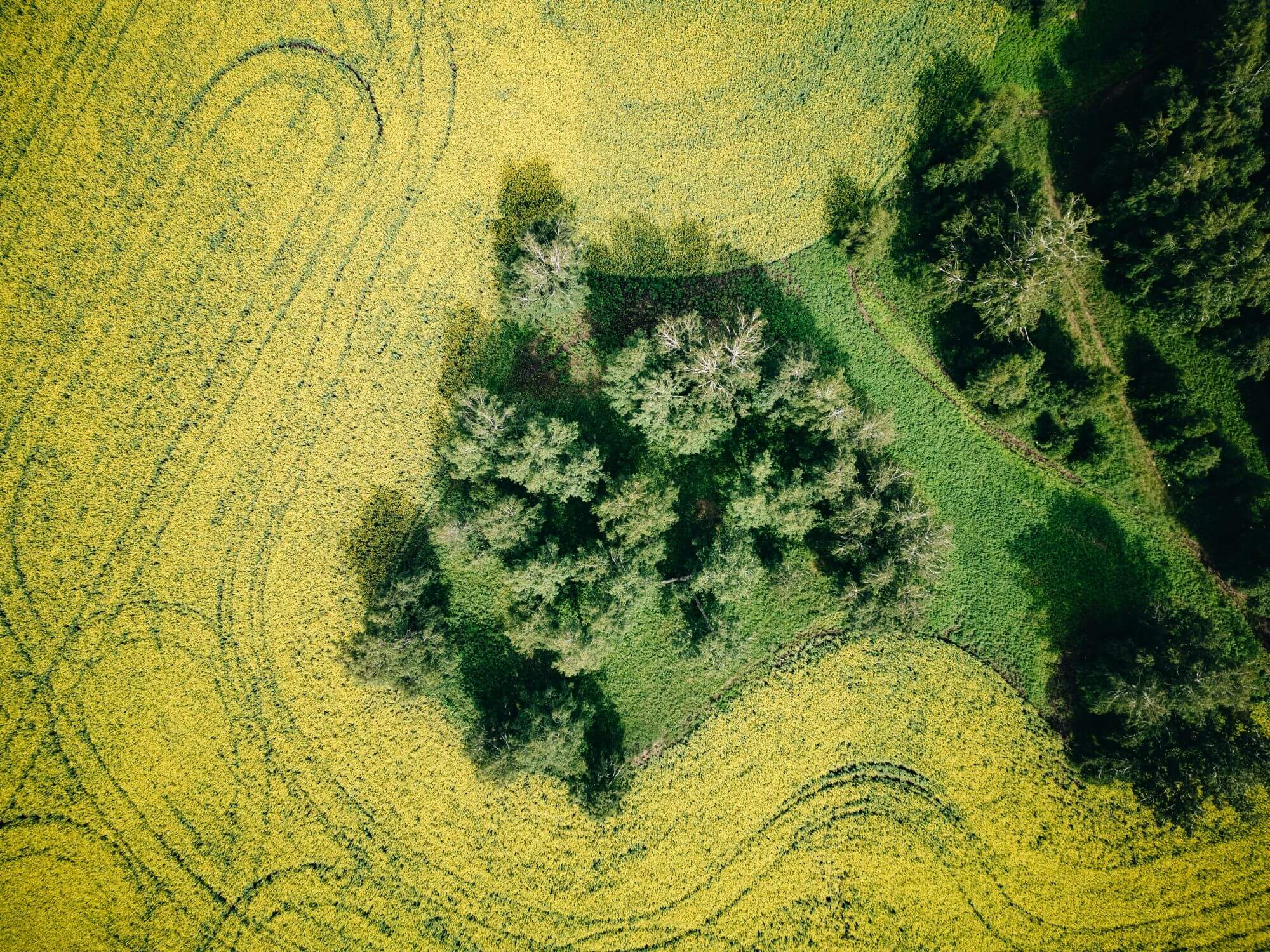 Habitat Mapping