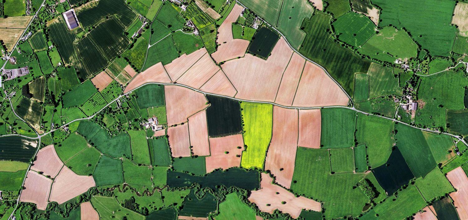 Habitat Mapping