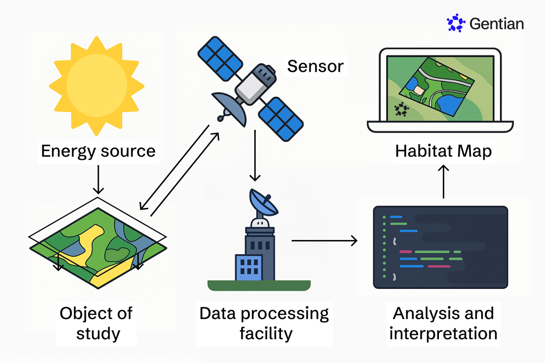 How Remote Sensing is Transforming Environmental Monitoring