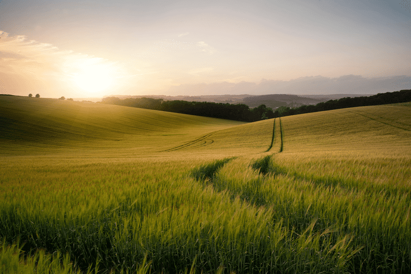 Demystifying Biodiversity Metrics: A Guide to IUCN, UKHab, and EUNIS ...